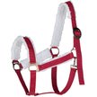 HORZE EQUESTRIAN Santa Horse Halter, Cob - Chewy.com