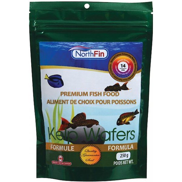 NORTHFIN Kelp Wafers 14 mm Fish Food, 250-g bag - Chewy.com