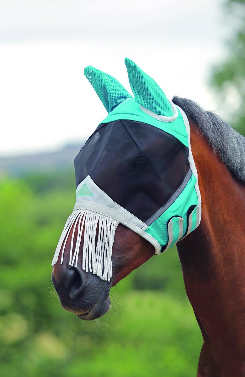 SHIRES EQUESTRIAN PRODUCTS Fine Mesh Horse Fly Mask with Ears & Nose ...