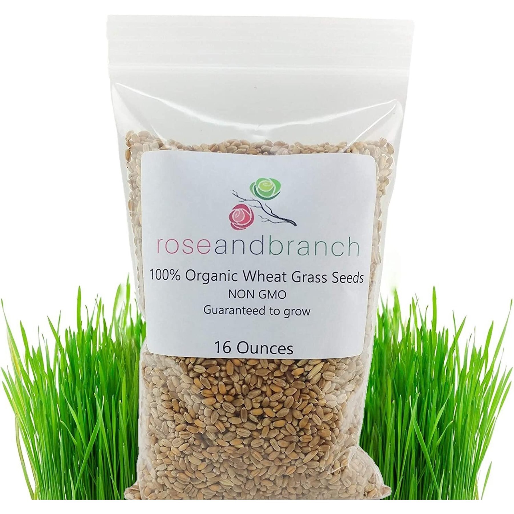 ROSE & BRANCH Organic Wheat Cat Grass Seeds, 16-oz pouch - Chewy.com