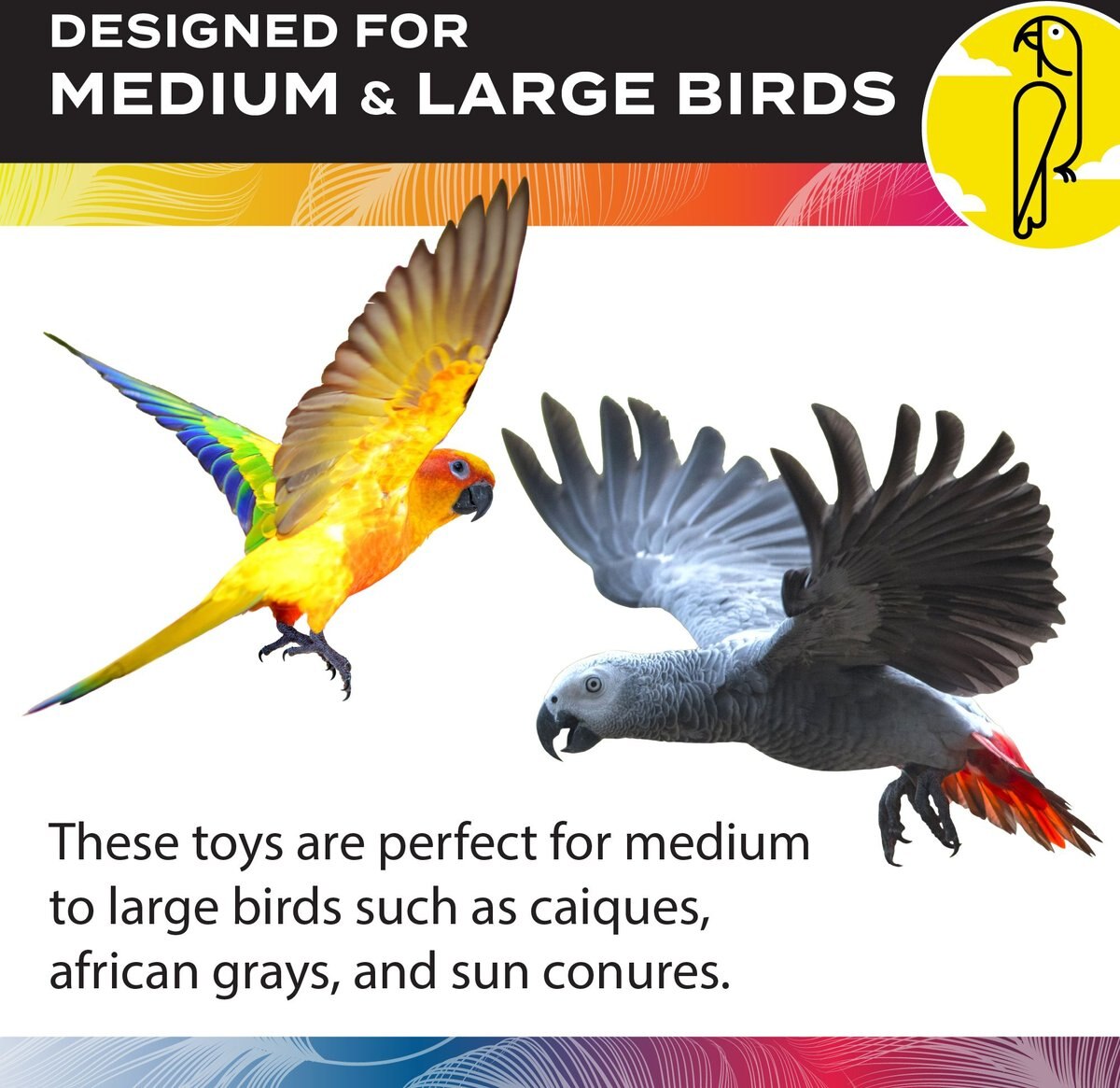 CAITEC Featherland Paradise Baffle Cage Bird Toy - Chewy.com