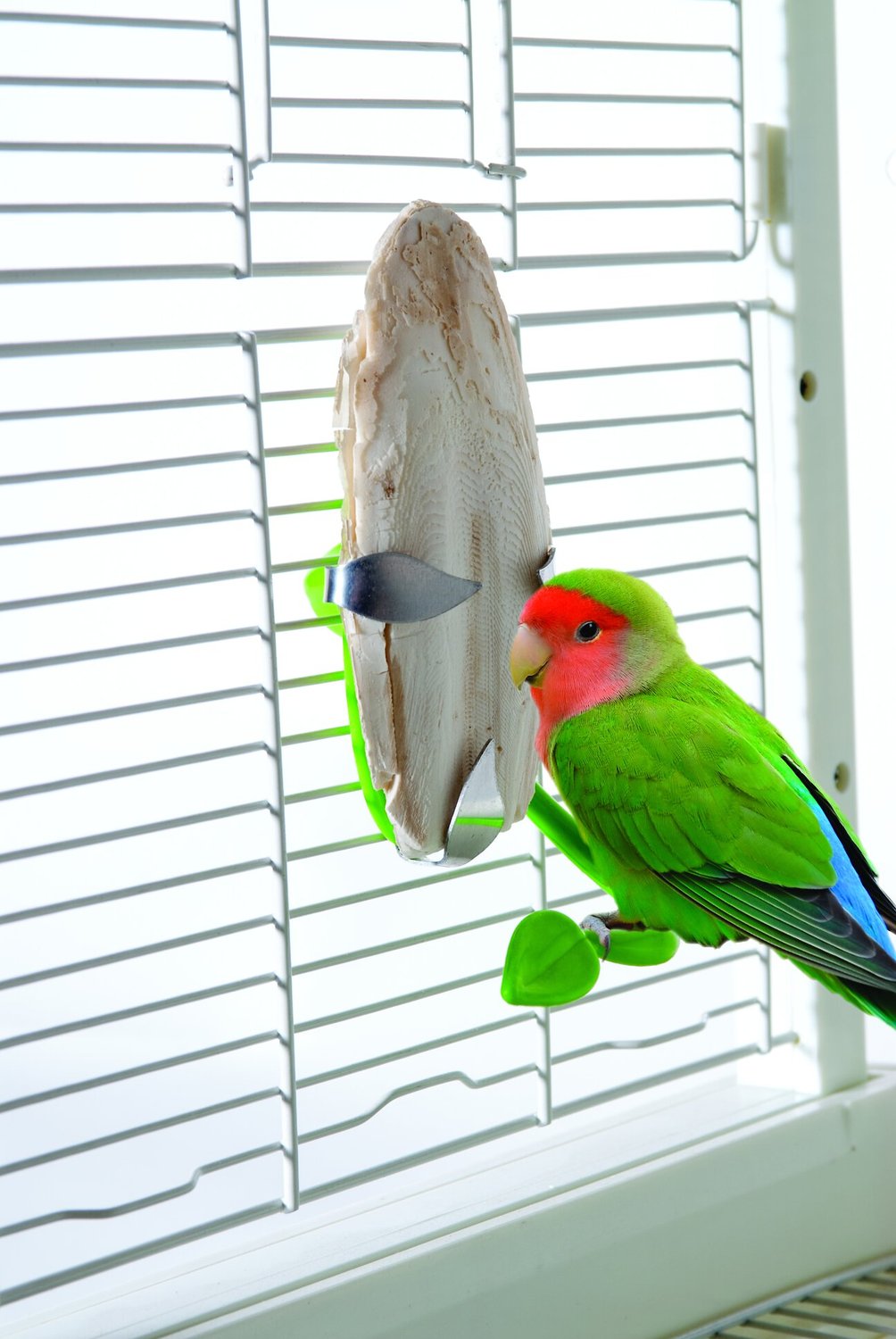CAITEC Featherland Paradise Cuttlebone Holder Bird Toy - Chewy.com