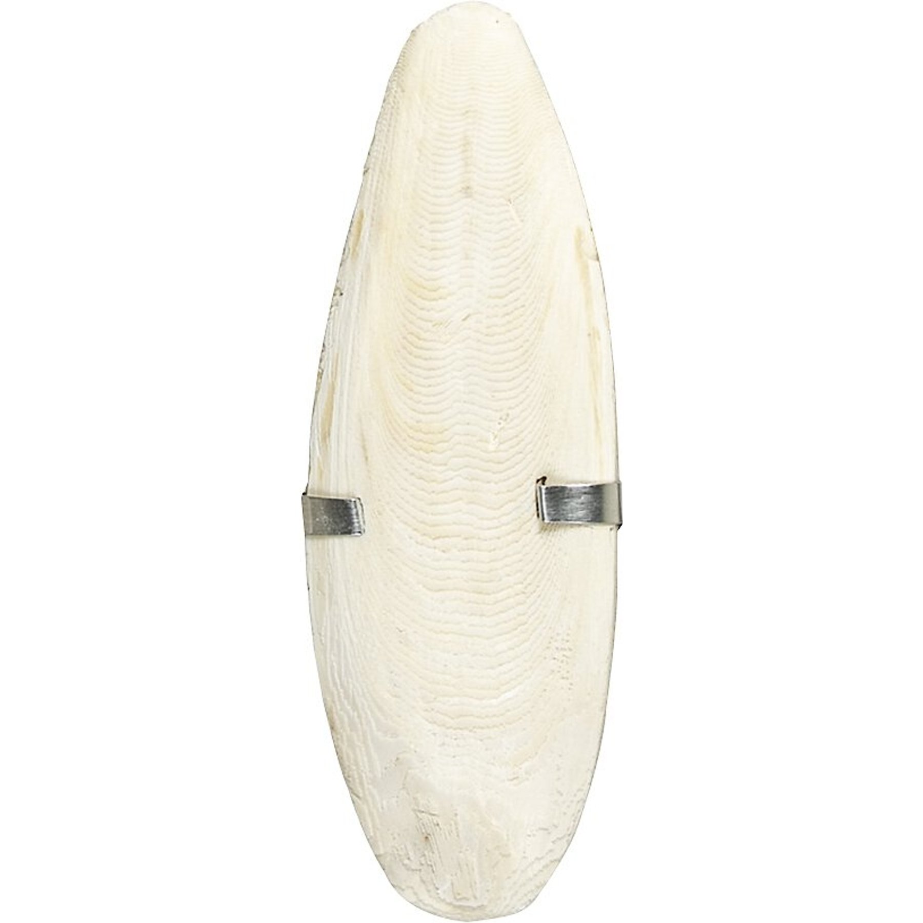 CAITEC Featherland Paradise Cuttlefish Bone Bird Toy - Chewy.com