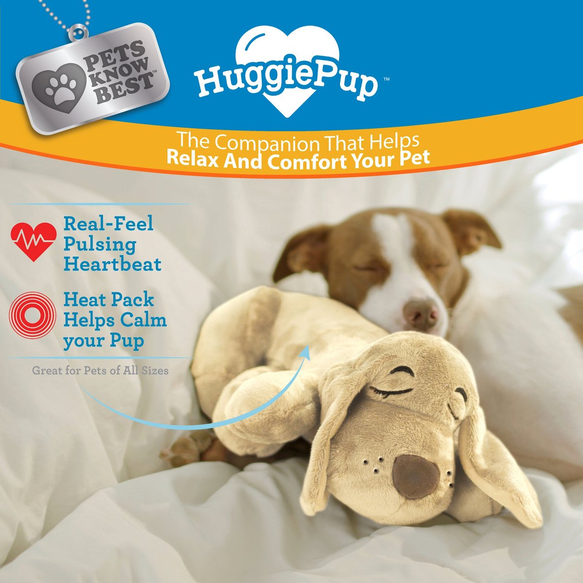 PETS KNOW BEST HuggiePup Plush Dog Toy, Chocolate - Chewy.com