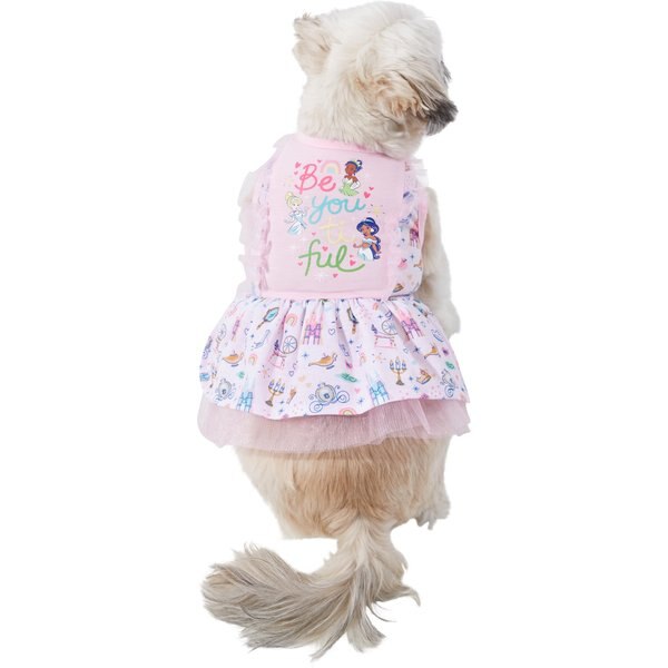 DISNEY Princess Enchanted Dog & Cat Dress, Large - Chewy.com