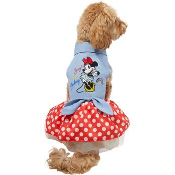 DOG DRESSES FOR LARGE DOGS (Free Shipping) | Chewy