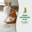 NATURE'S MIRACLE Cat Urine Destroyer Plus Enzymatic Formula Stain ...