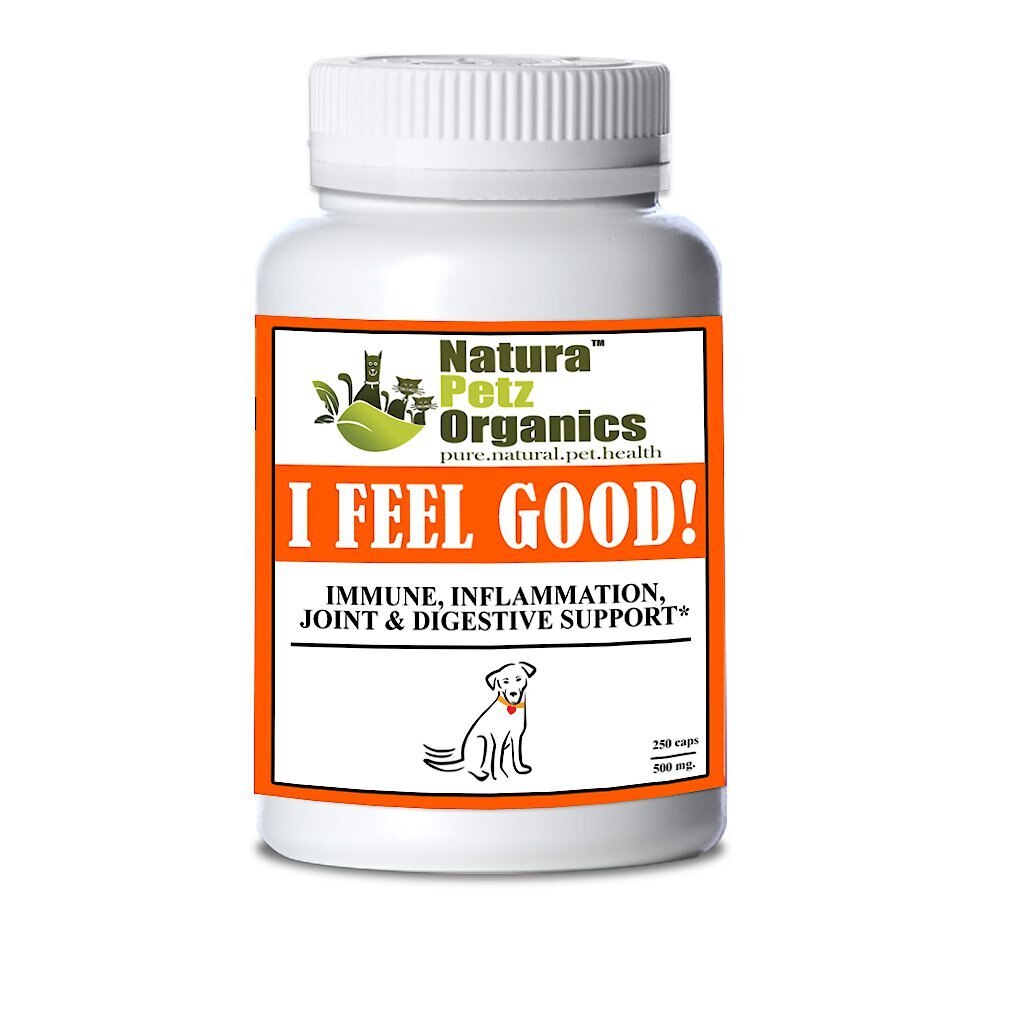Questions and Answers about NATURA PETZ ORGANICS I Feel Good Dog ...