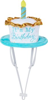Pet Birthday Gifts For Dogs & Cats - Free Shipping | Chewy