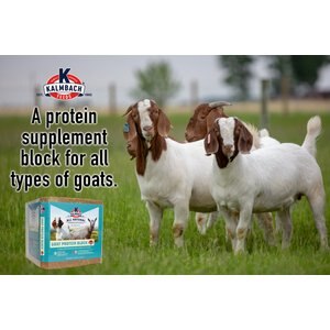 10 Best Goat Supplements 2025: According to Reviews | Chewy