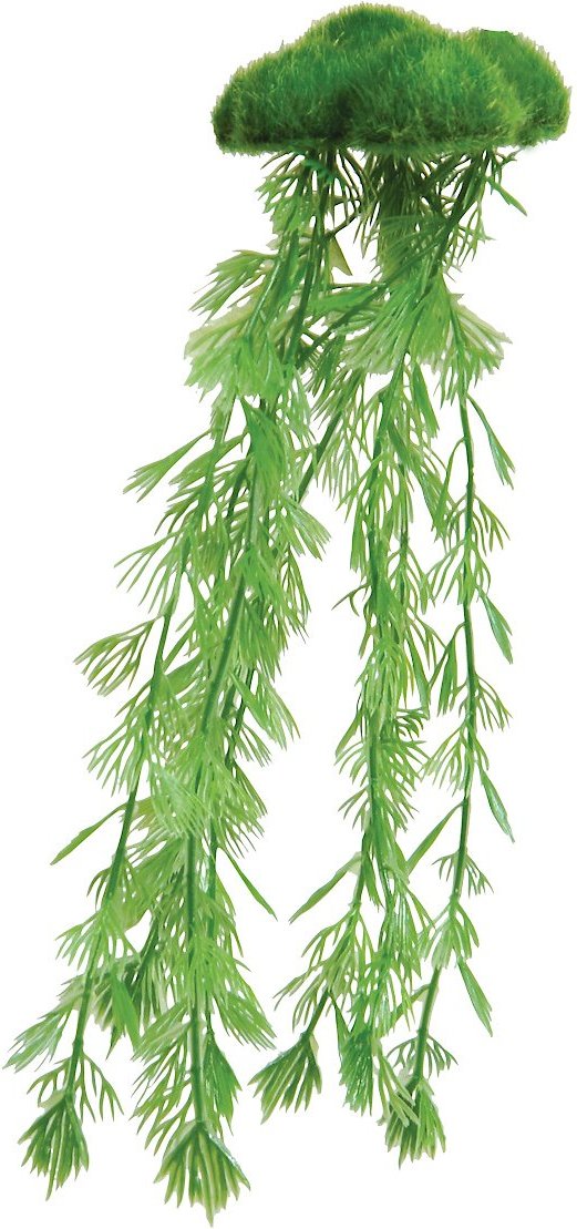 UNDERWATER TREASURES Floating Moss Fish Aquarium Plant - Chewy.com