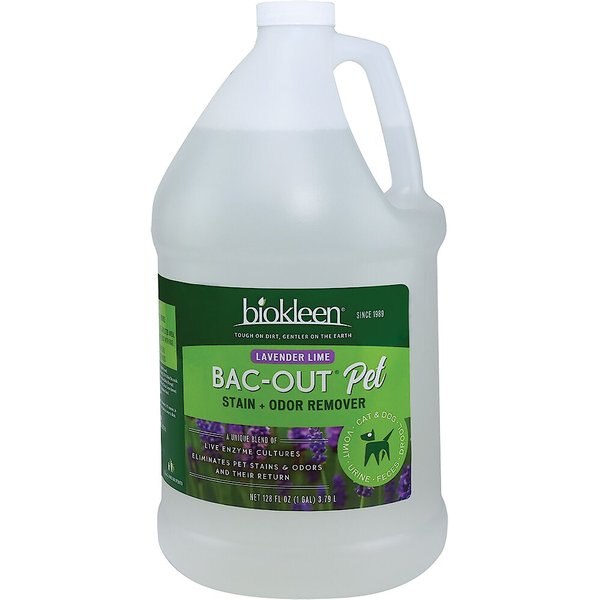 BIOKLEEN Bac-Out Pet Stain & Odor Remover, 1-gal - Chewy.com