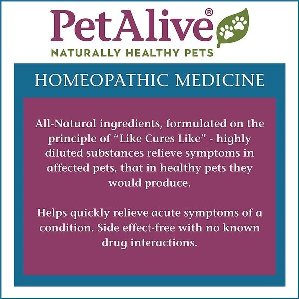 PETALIVE Aggression Formula Homeopathic Medicine for Behavior Issues ...