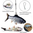 PET FIT FOR LIFE Robotic Floppy Fish & Wand Cat Toy - Chewy.com