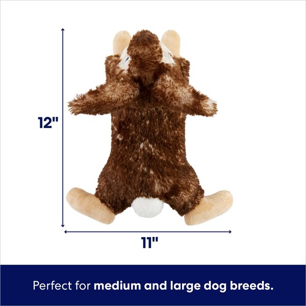 FRISCO Realistic Rabbit Plush Squeaky Dog Toy, Medium/Large - Chewy.com