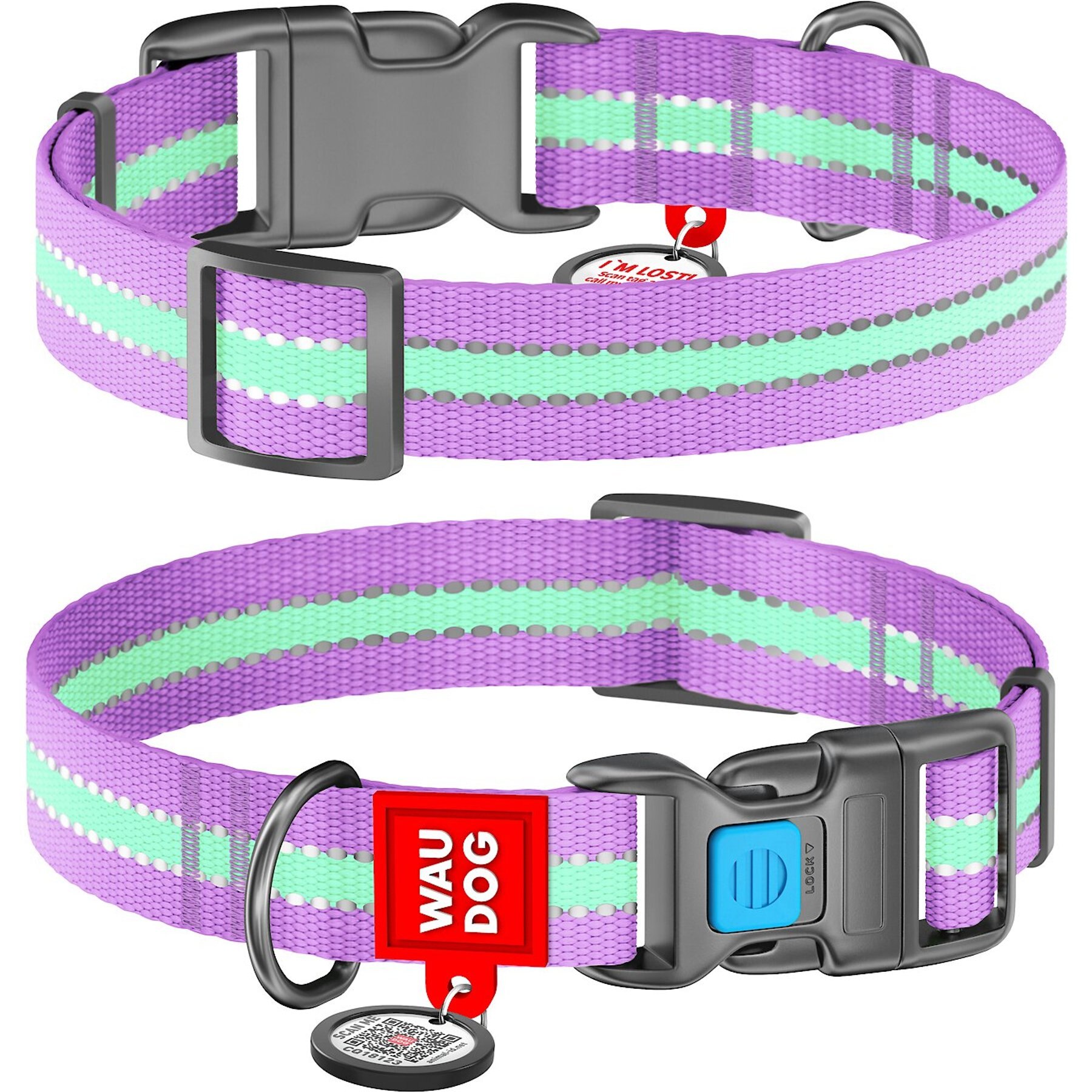 WAUDOG Glow in the Dark QR Passport Nylon Standard Dog Collar, Purple ...
