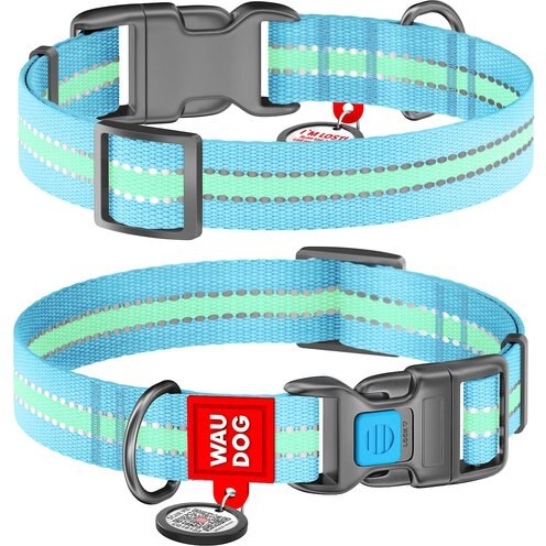 BLUE DOG COLLARS (Free Shipping) | Chewy