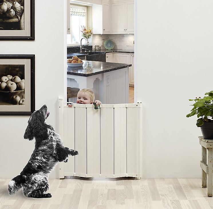 Hardware Wall Mounted Dog Gates (Free Shipping) | Chewy