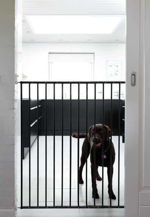 Hardware Wall Mounted Dog Gates (Free Shipping) | Chewy