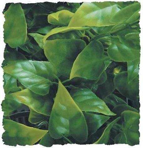 ZOO MED Mexican Phyllo Artificial Plant - Chewy.com