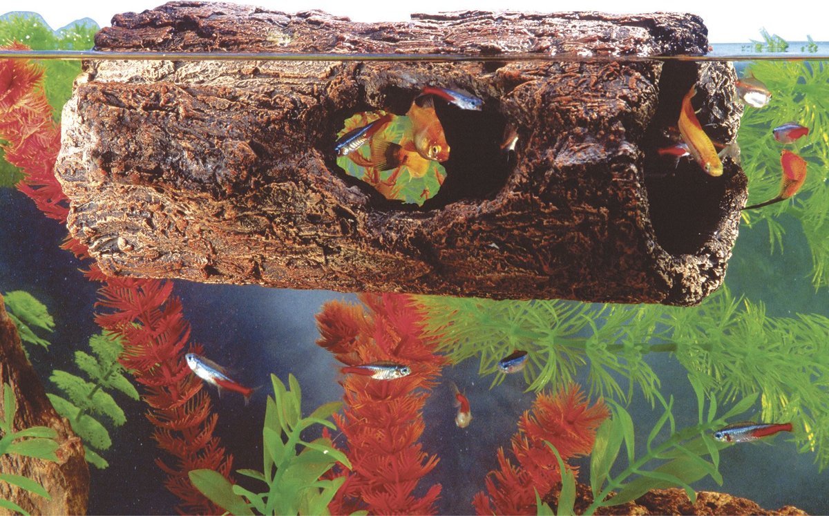 ZOO MED Floating Aquarium Log Fish Hideout, Small - Chewy.com