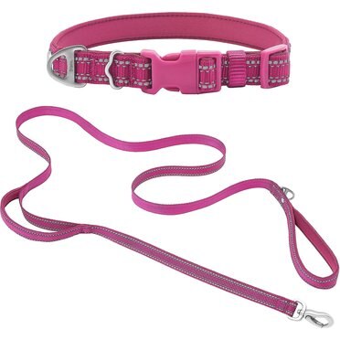 Comfortable Dog Collars (Free Shipping) | Chewy