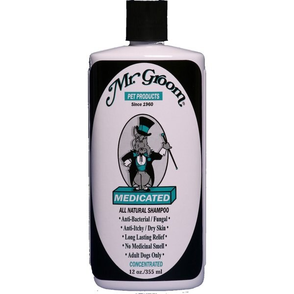 MR. GROOM Medicated Dog Shampoo, 12-fl oz bottle, bundle of 2 - Chewy.com