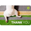 CHEWY eGift Card, Thank You Dog, $200 - Chewy.com