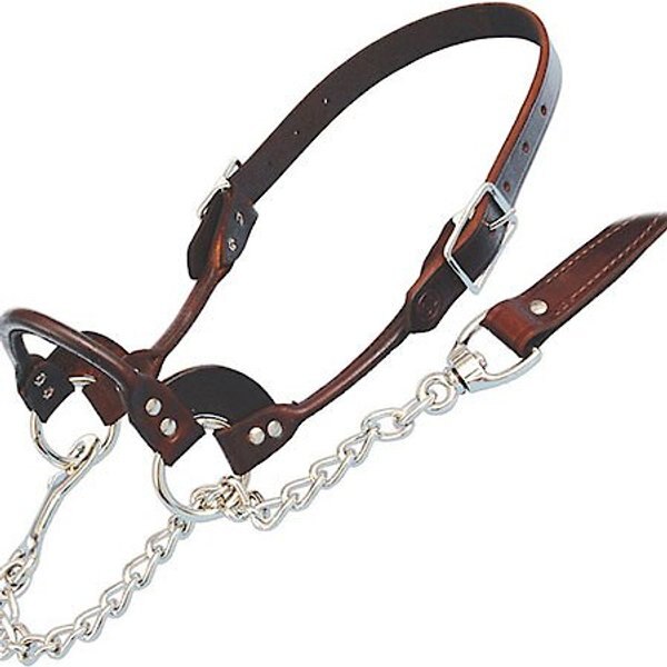 SULLIVAN SUPPLY 1st Class Show Farm Animal Halter, Black, 1,500 1,850 ...