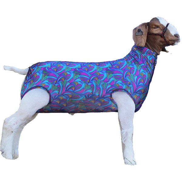 SULLIVAN SUPPLY Performance Spandex Lamb Tube, Tropical, Large - Chewy.com