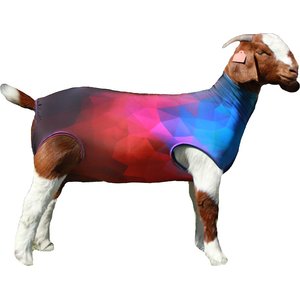 SULLIVAN SUPPLY Performance Spandex Lamb Tube, Tropical, Large - Chewy.com