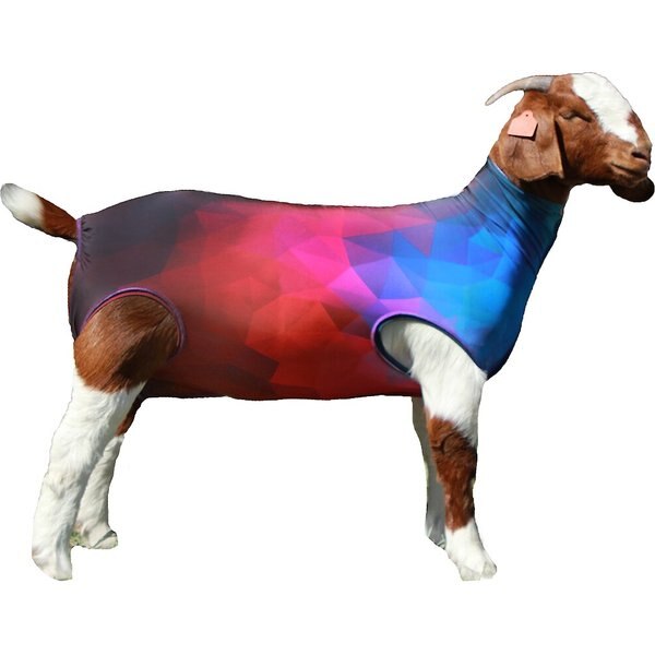 SULLIVAN SUPPLY Performance Spandex Lamb Tube, Tropical, Large - Chewy.com