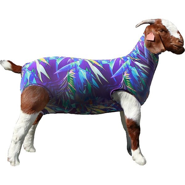 SULLIVAN SUPPLY Performance Spandex Goat Tubes, Flare, Large - Chewy.com