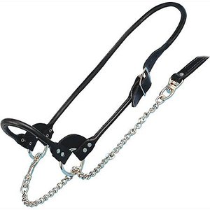 SULLIVAN SUPPLY Incognito Show Farm Animal Halter, Black, Small - Chewy.com