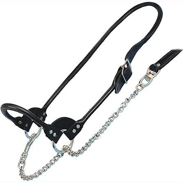 SULLIVAN SUPPLY Classic Leather Rolled Nose Show Farm Animal Halter ...