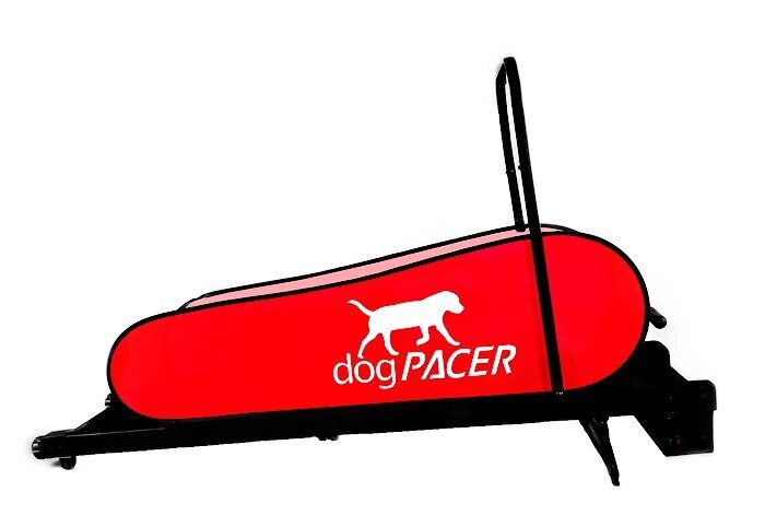 DOGPACER Full Size Dog Treadmill - Chewy.com