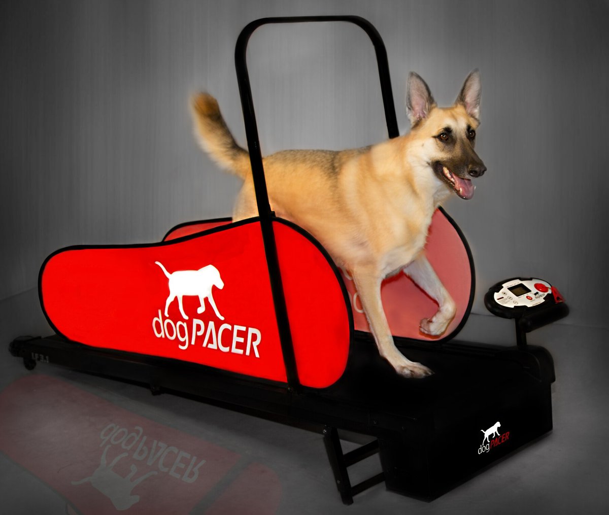 Discontinued - DOGPACER Full Size Dog Treadmill - Chewy.com
