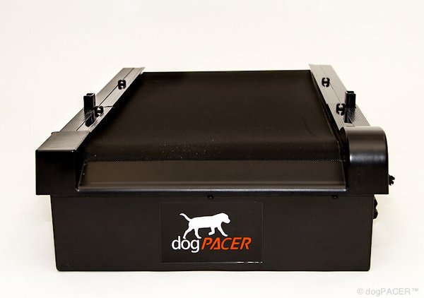 Discontinued - DOGPACER Full Size Dog Treadmill - Chewy.com