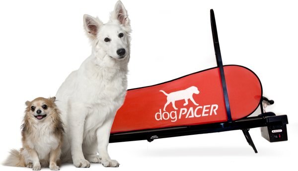 Discontinued - DOGPACER Full Size Dog Treadmill - Chewy.com