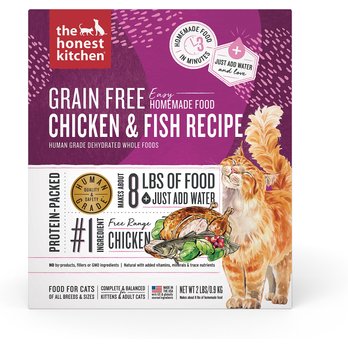 BOX CAT FOOD (Free Shipping) | Chewy