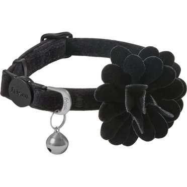 Cat Collars: Small to Large Cats (Free Shipping) | Chewy