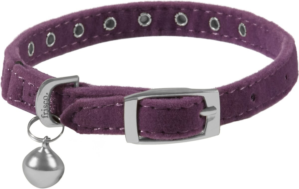 FRISCO Punk Velvet Cat Collar, Purple, 8 to 12-in neck, 3/8-in wide ...