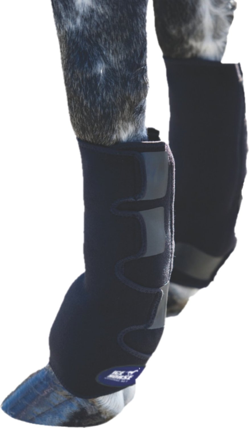 ICE HORSE Suspensory Horse Wrap, 2 count - Chewy.com