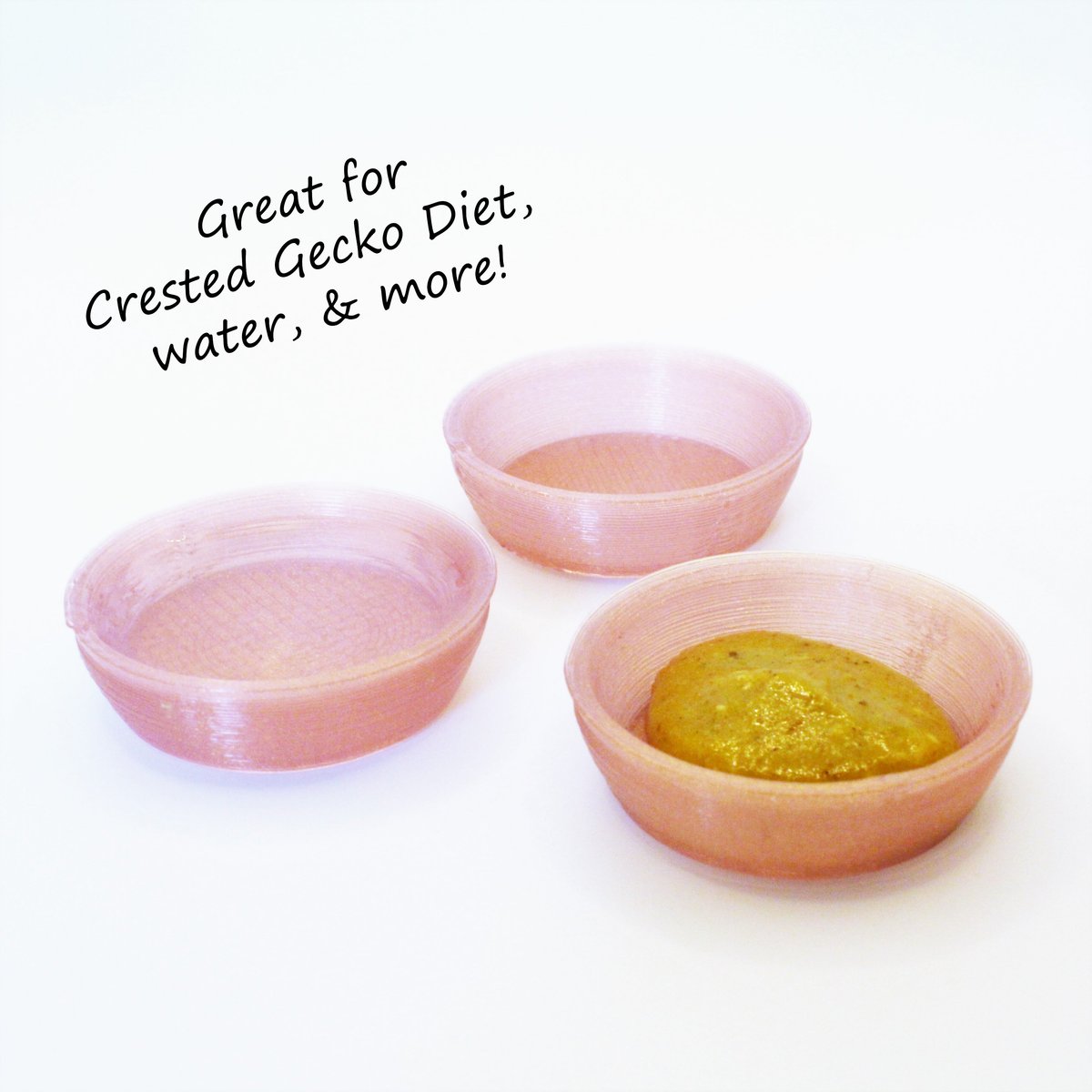 STROODIES Crested Gecko Bowl, 3 count, Rose Gold, 0.5-oz - Chewy.com