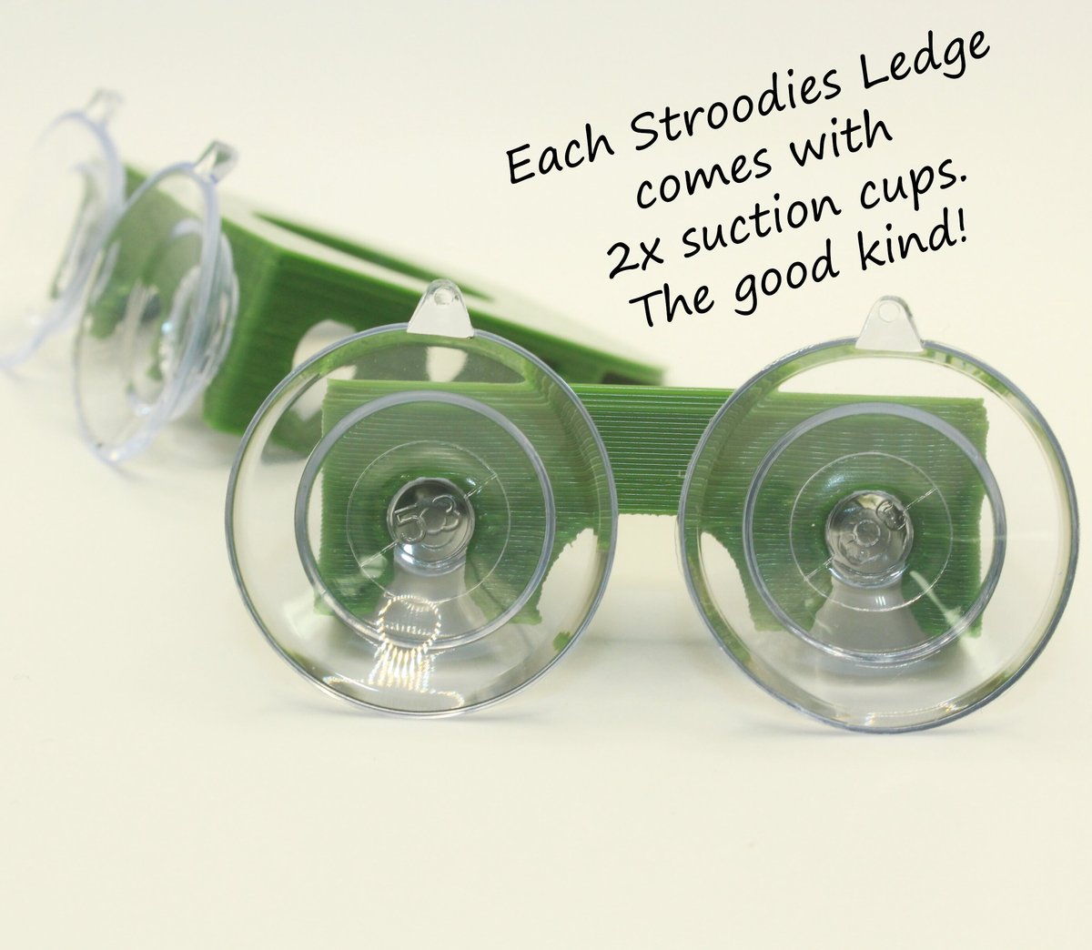 STROODIES 1-slot Crested Gecko Feeding MicroLedge, Leaf Green - Chewy.com