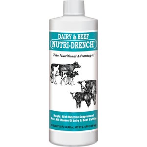 BOVIDR LABORATORIES Nutri-Drench Dairy & Beef Supplement, 1-qt bottle ...