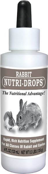 BOVIDR LABORATORIES Nutri-Drench Rabbit Supplement, 4-fl oz bottle ...