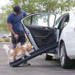 PETSAFE Happy Ride Telescoping Dog Car Ramp, X-Large - Chewy.com