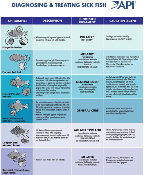 API LIQUID SUPER ICK CURE Freshwater & Saltwater Fish Medication, 16-oz ...