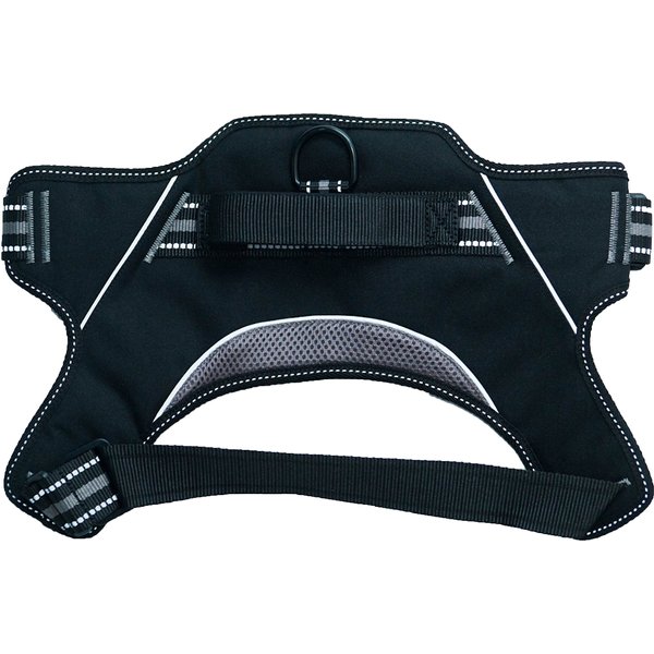 CURLI Clasp Vest Air-Mesh Dog Harness, Black, Large - Chewy.com